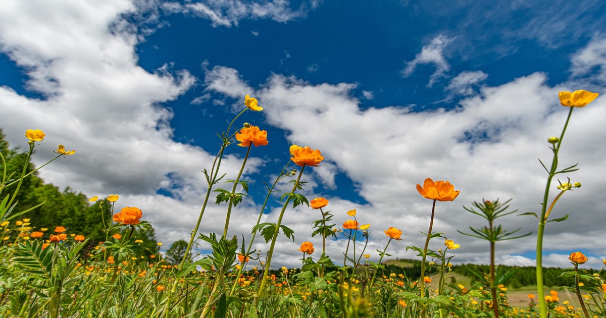 Lehren und Lernen mit digitalen Medien: Veranstaltungshinweise für Juni 2024 — e-teaching.org ...