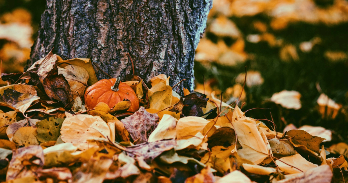 Lehren und Lernen mit digitalen Medien: Veranstaltungshinweise im Oktober — e-teaching.org ...